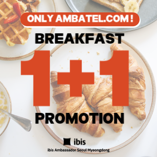 이비스 앰배서더 서울 명동