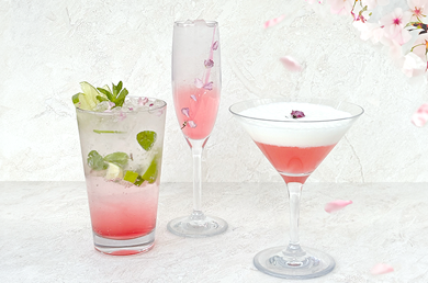 앰배서더 호텔 그룹